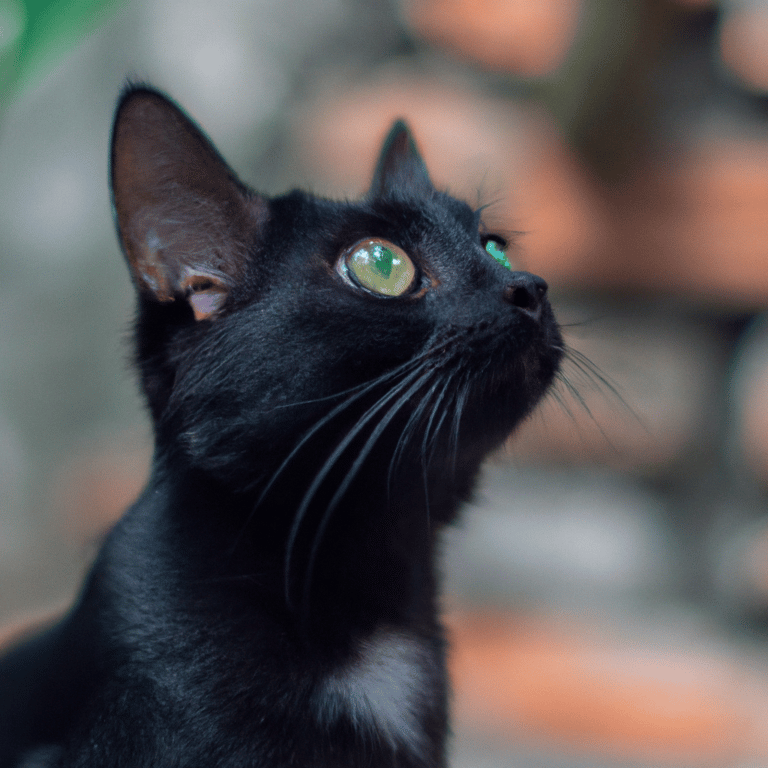 35 Curiosidades sobre Pets que Você Precisa Saber